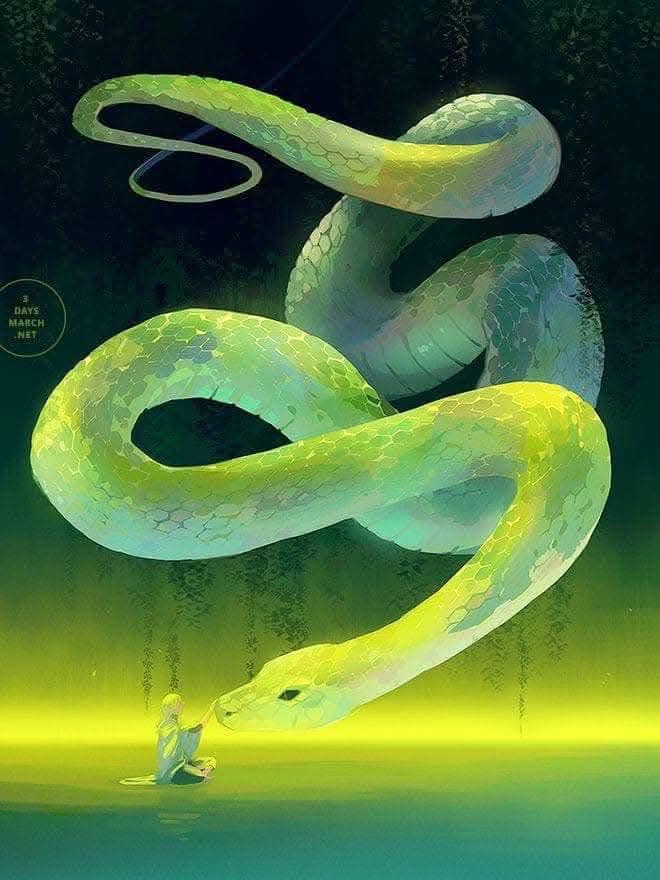 Модон могой жилийн онцлог